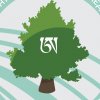 Иконка канала Контемплативная практика