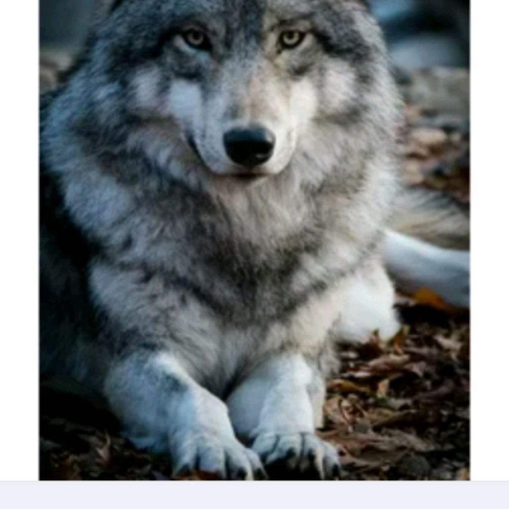 Иконка канала Хакер ЕЛХ Опер