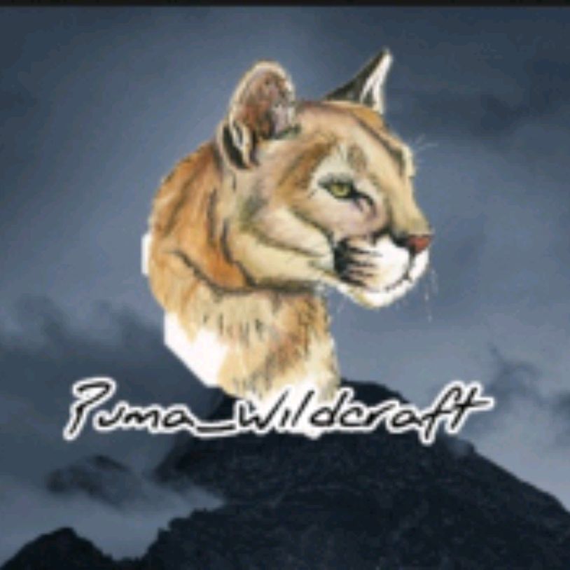 Иконка канала Puma_WildCraft🐾