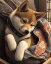 Иконка канала Kaiko the Shiba