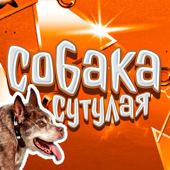 Иконка канала собака сутулая