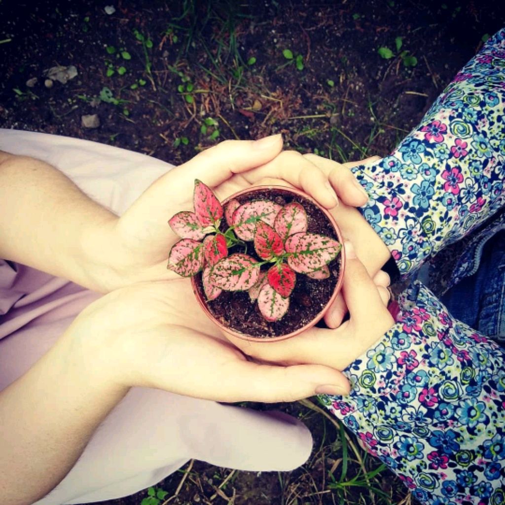 Иконка канала минутка вдохновения