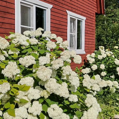 Иконка канала Маришкина усадьба