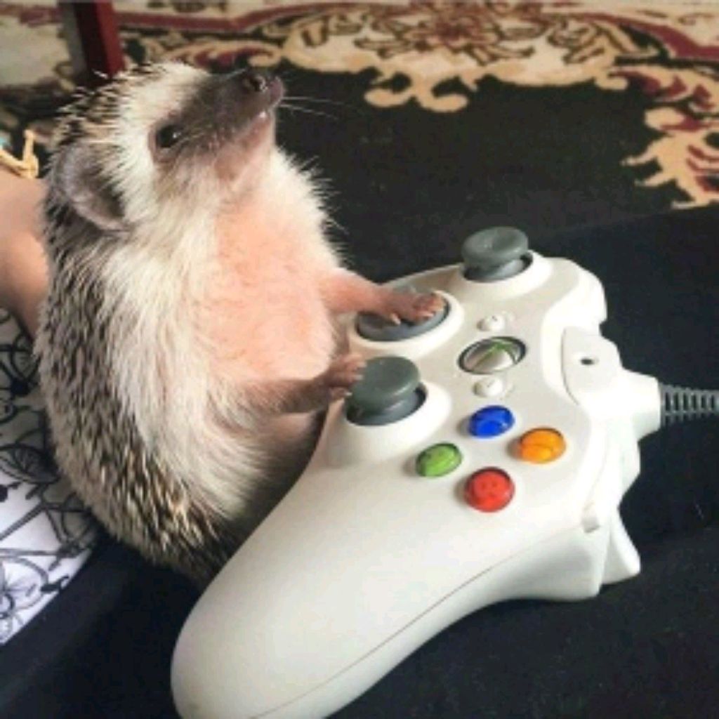 Иконка канала Keroon