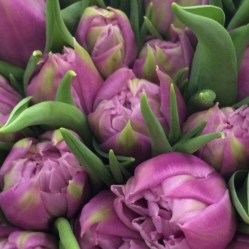 Иконка канала Настроение