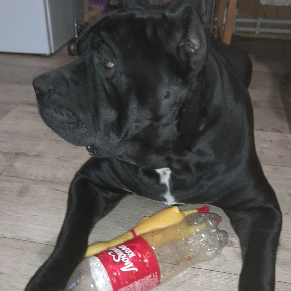 Иконка канала Будни