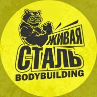 Иконка канала REAL STEEL