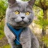 Иконка канала Басик