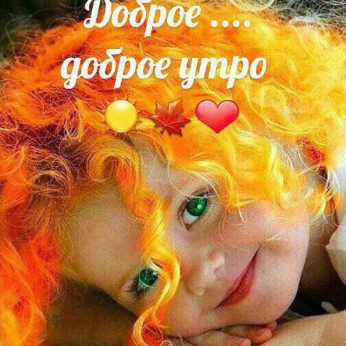 Иконка канала Народная книга