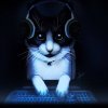 Иконка канала кот стример