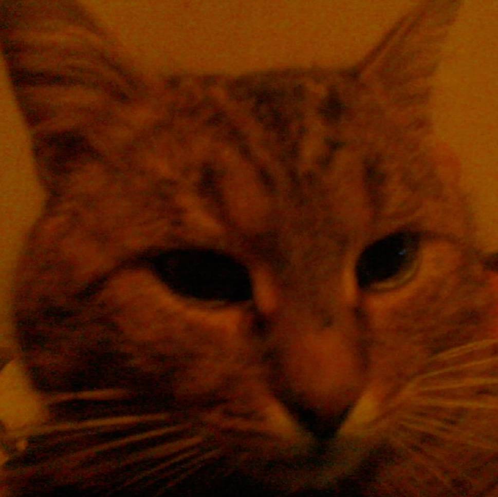 Иконка канала Алексей Е46