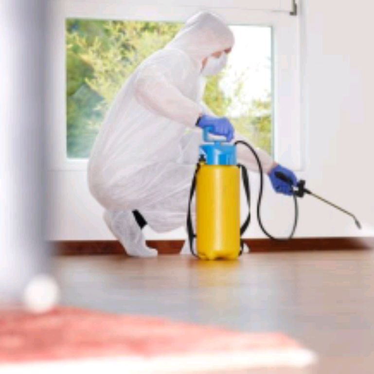 Иконка канала info.DezL