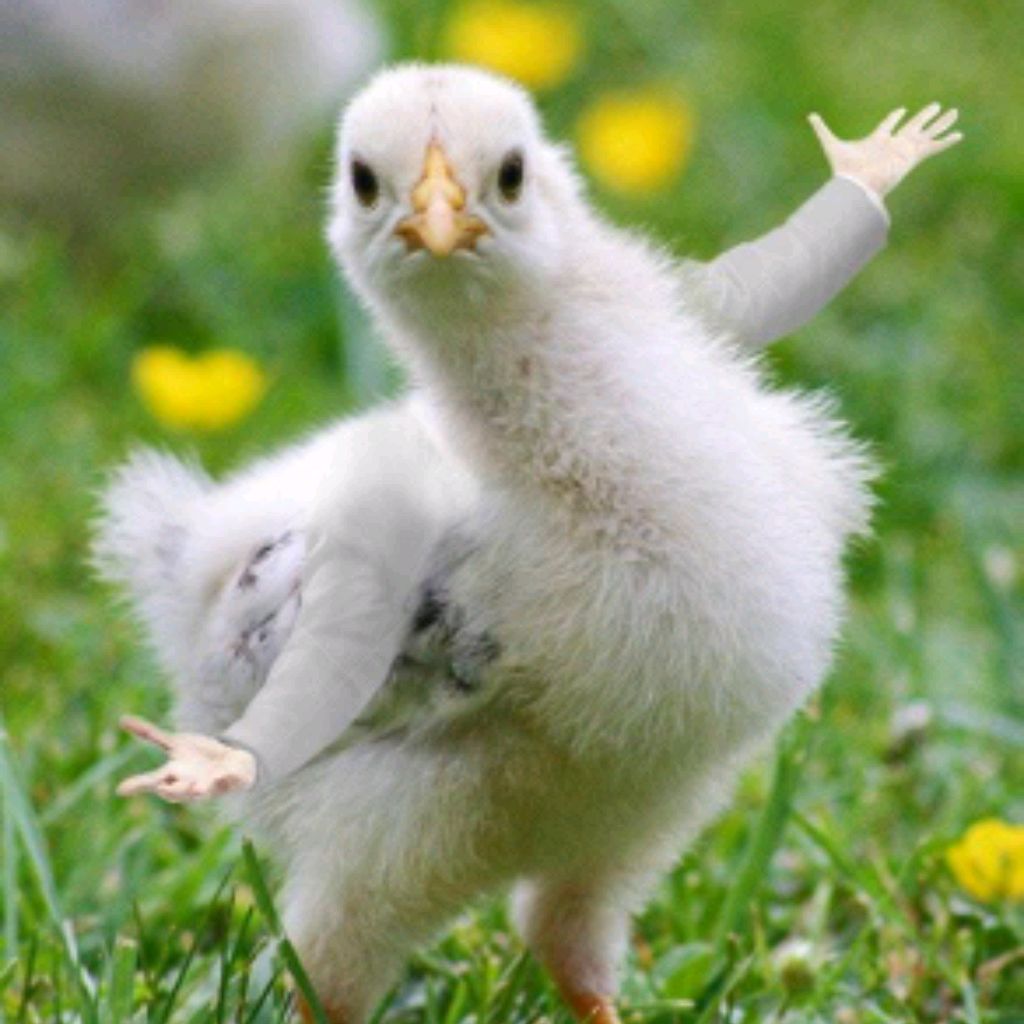 Иконка канала Жизнь одна