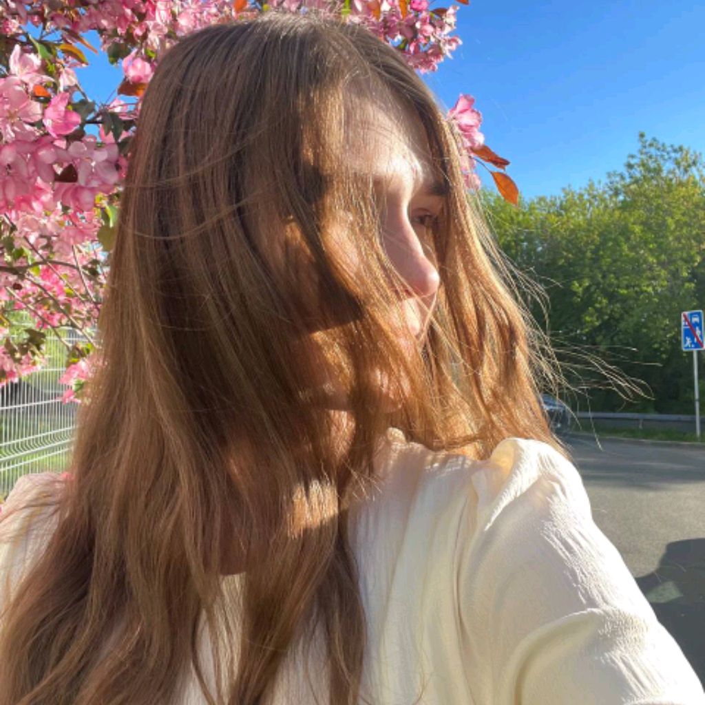 Иконка канала paco-raposa