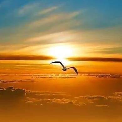 Иконка канала Самопознание Астрология Медитация Психология