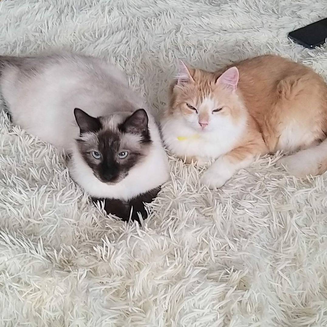 Иконка канала ? Санни и Сэм неразлучные друзья!?