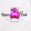 Иконка канала ОрхоРай