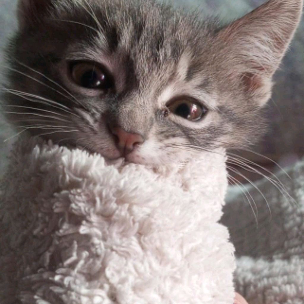 Иконка канала Виктор