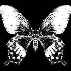 Иконка канала Павел