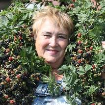 Иконка канала Ягодное Раздолье