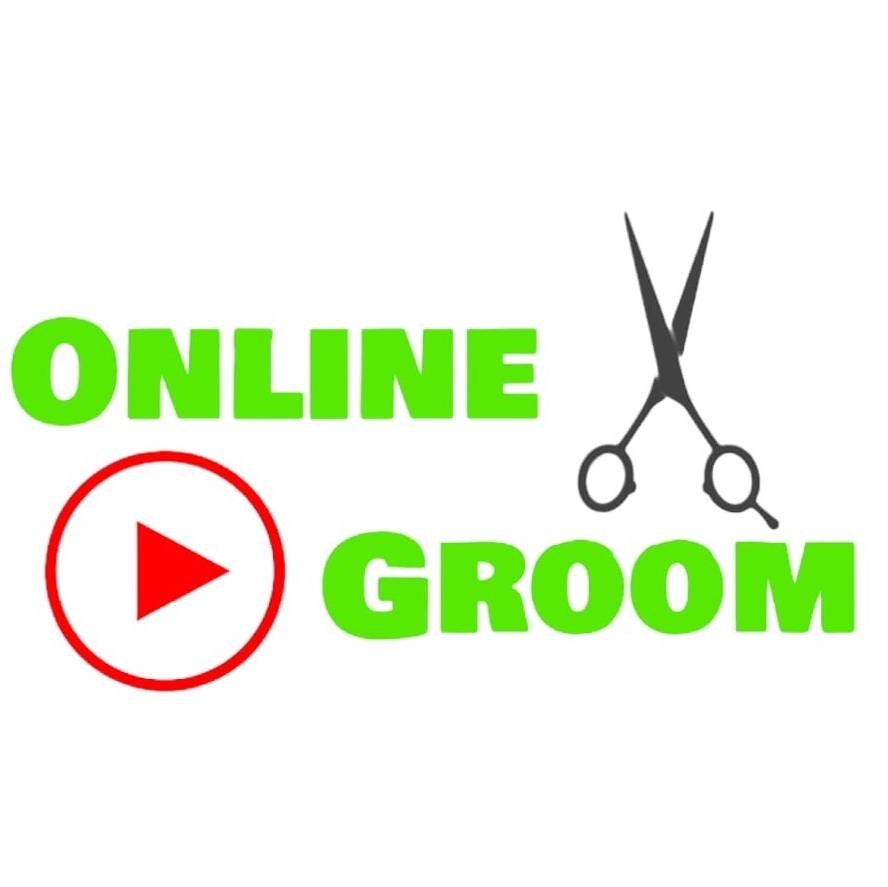 Иконка канала OnlineGroom
