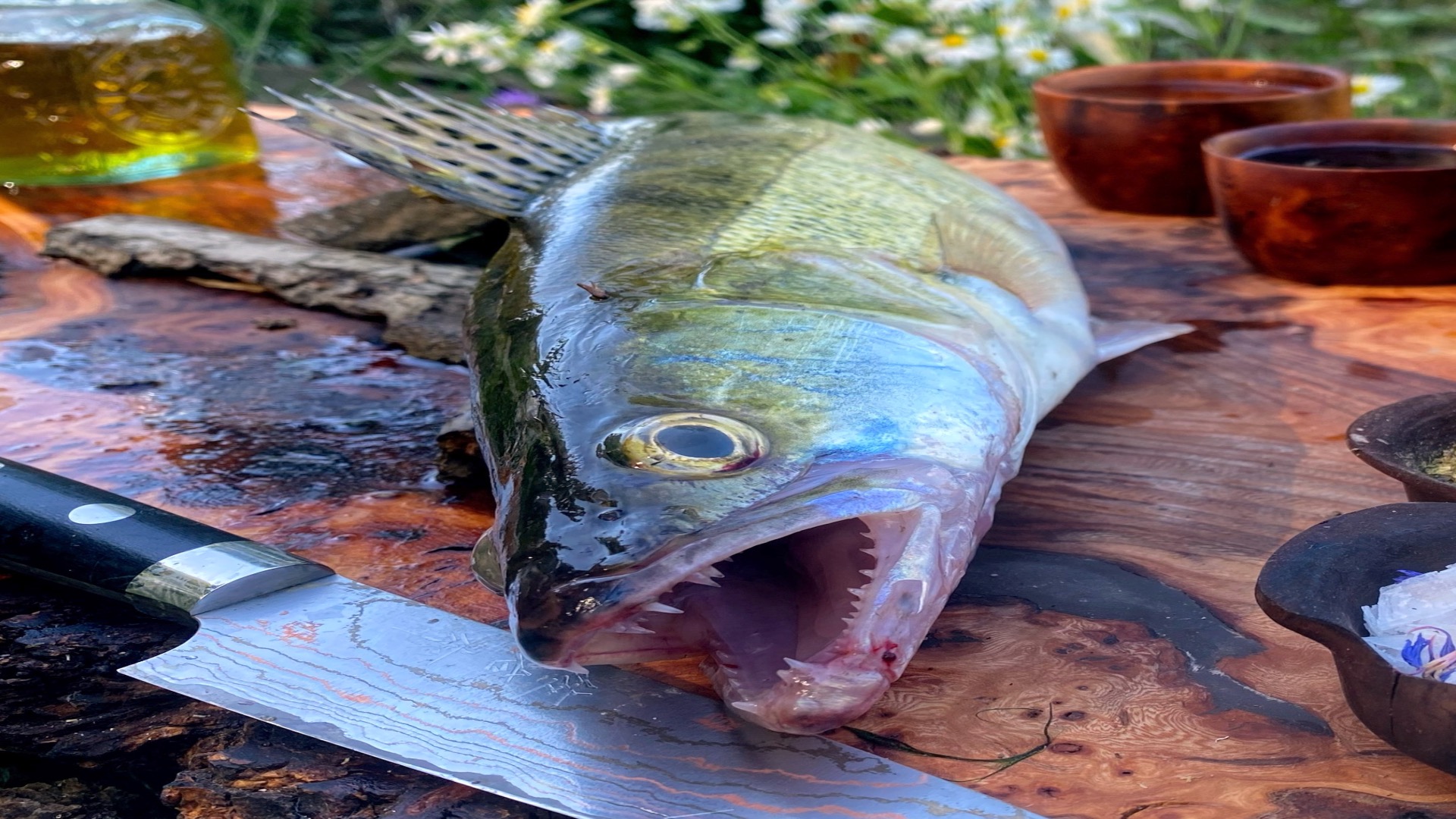 Иконка канала КУХНЯ В ЛЕСУ🌲🎣