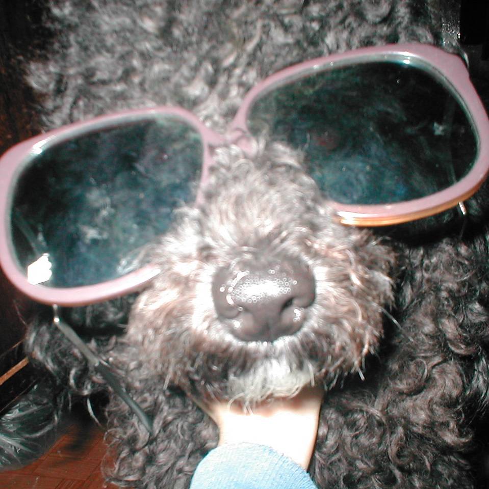 Иконка канала Good Day to Game