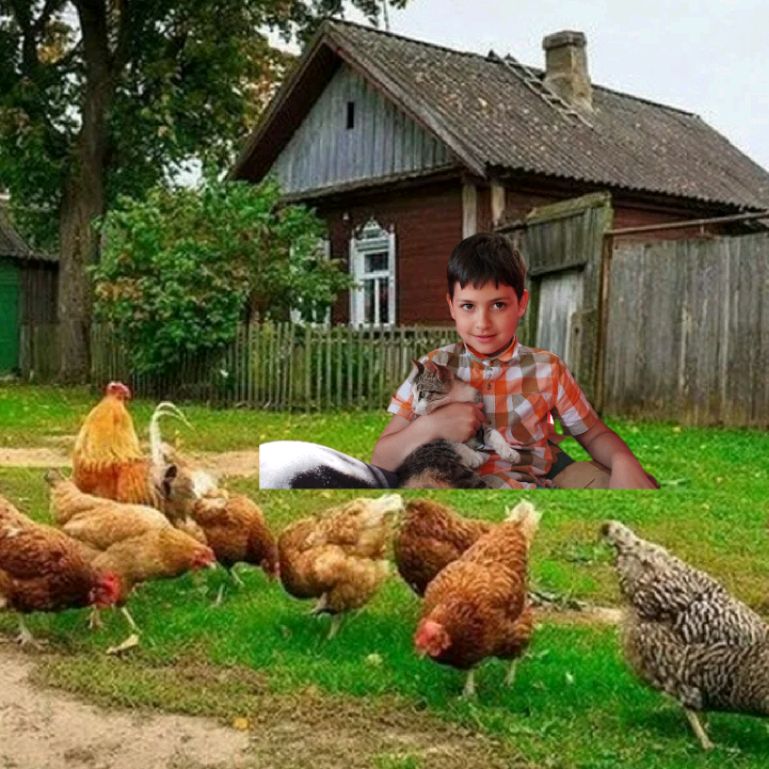 Иконка канала ОБЫКНОВЕННЫЕ СЕЛЮКИ