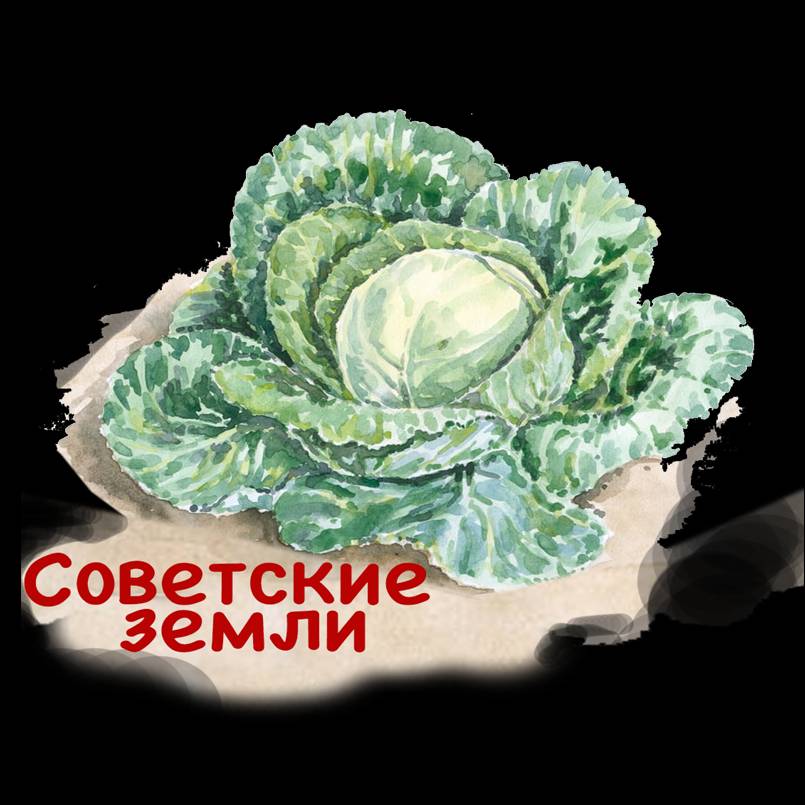 Иконка канала Советские Земли