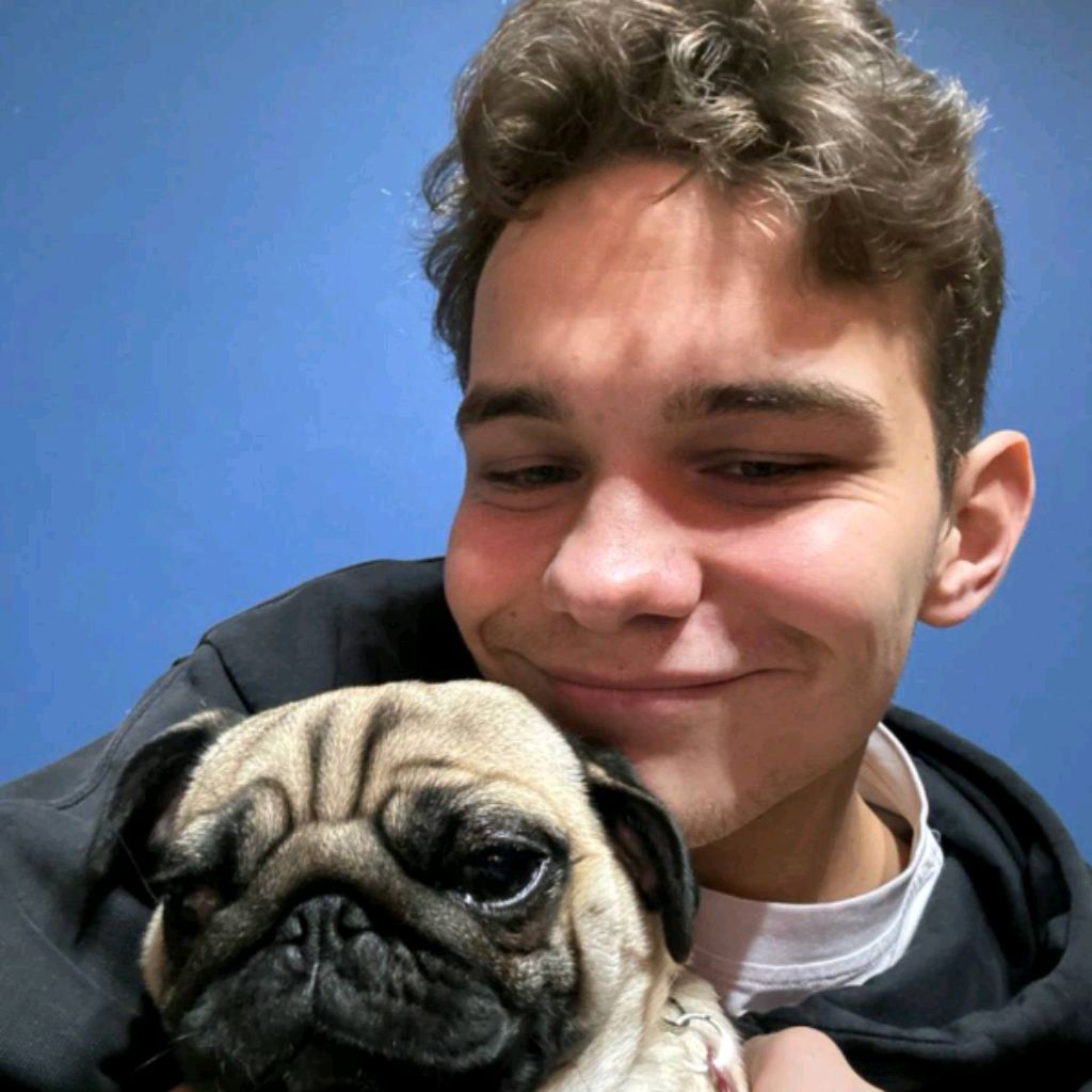 Иконка канала Тока стич