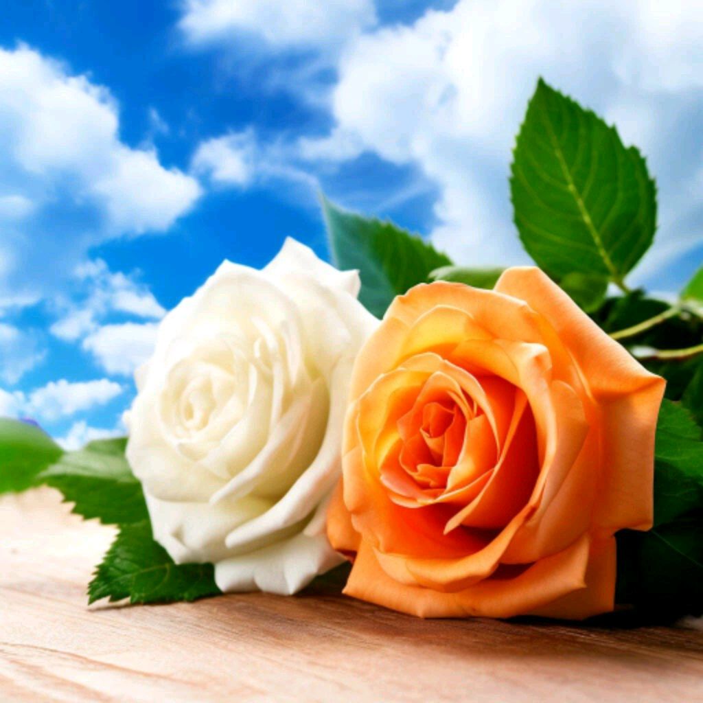 Иконка канала Многообразие жизни.