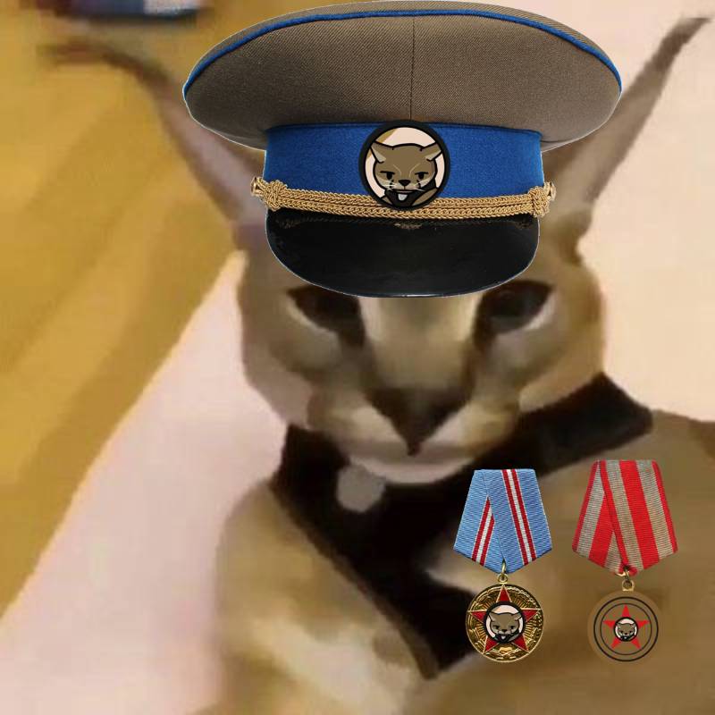 Иконка канала Товарищ Каракалов