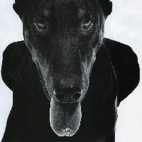 Иконка канала Суперканал с реки Сен-Лоран.