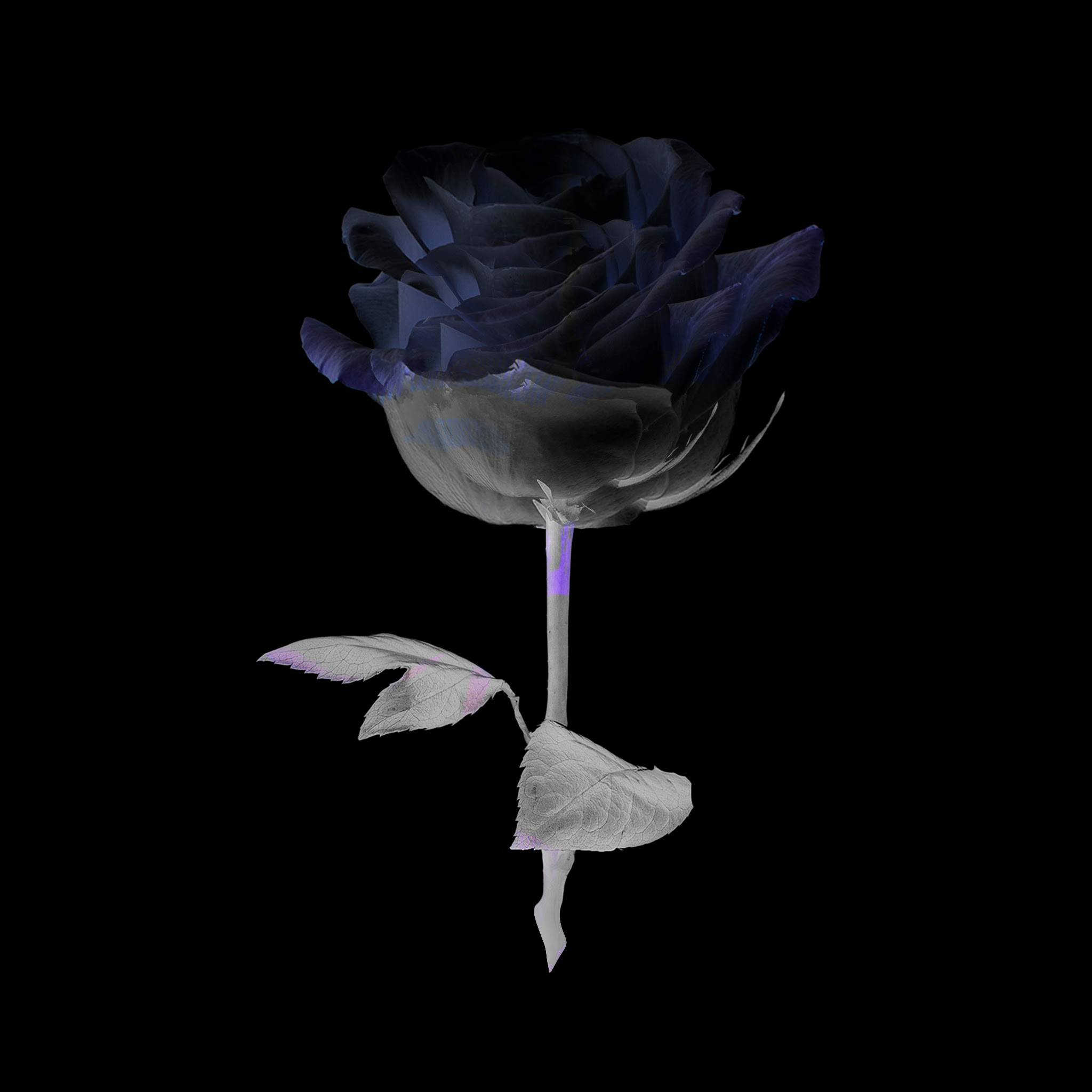 Иконка канала VoidRose - Разработчик игр