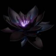 Иконка канала Black Lotus Music for relaxation