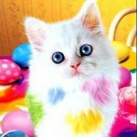 Иконка канала МироСлава