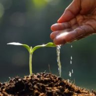 Иконка канала Садакъа Джария