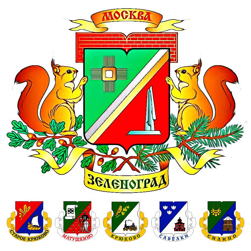 Иконка канала Муниципальные округа Зеленограда