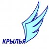 Иконка канала Благотворительная "Интернет платформа Крылья"