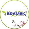 Иконка канала Bramek (Брамек)