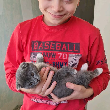 Иконка канала Я Артём и моя кошка