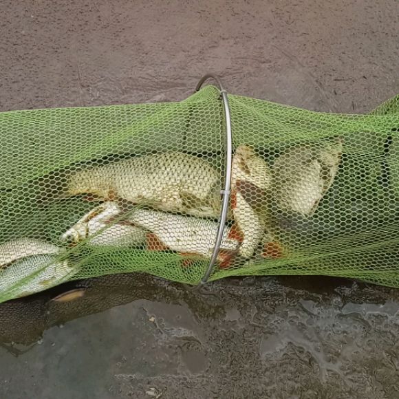 Иконка канала Валентин Рыбак