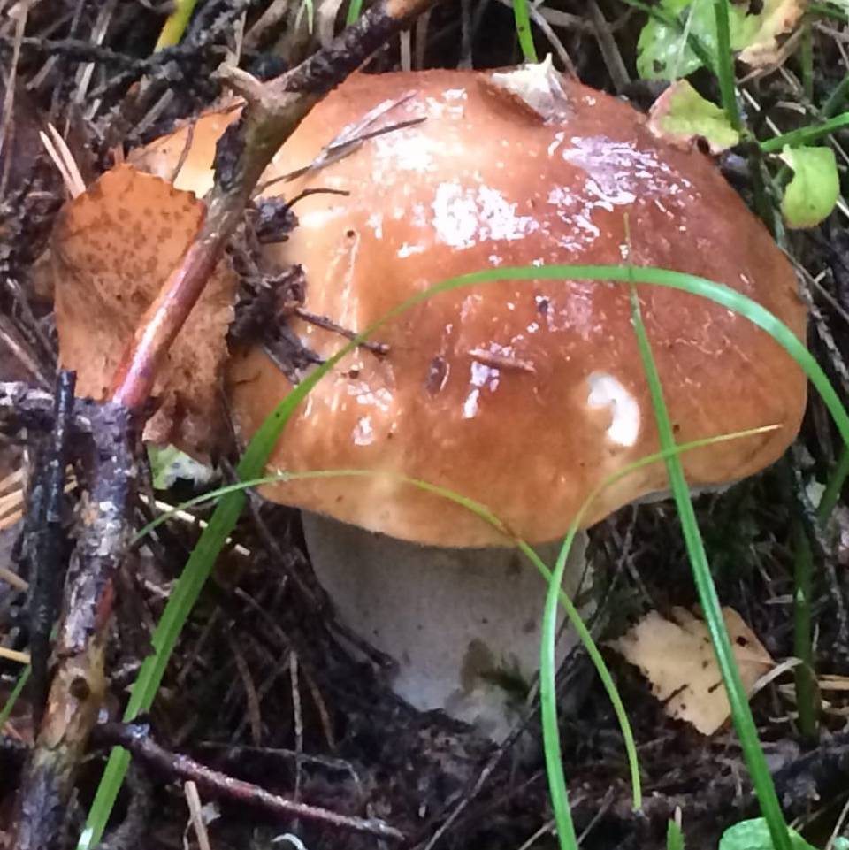 Иконка канала ПРИКЛЮЧЕНИЯ БАБАСИ