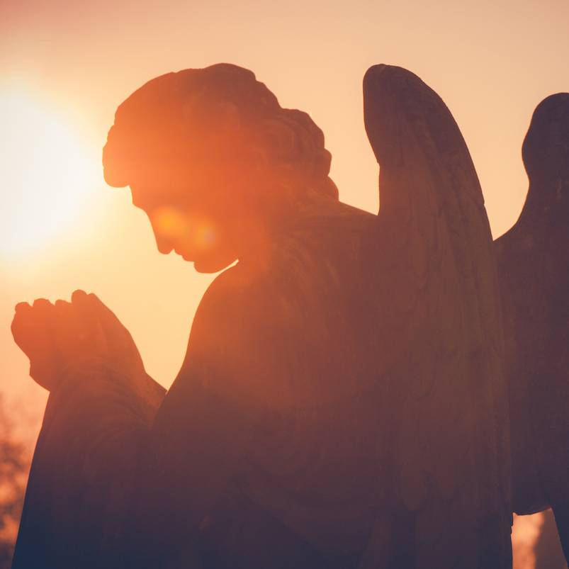 Иконка канала Вестник