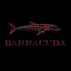 Иконка канала Barracuda