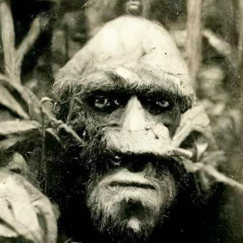 Иконка канала ariania