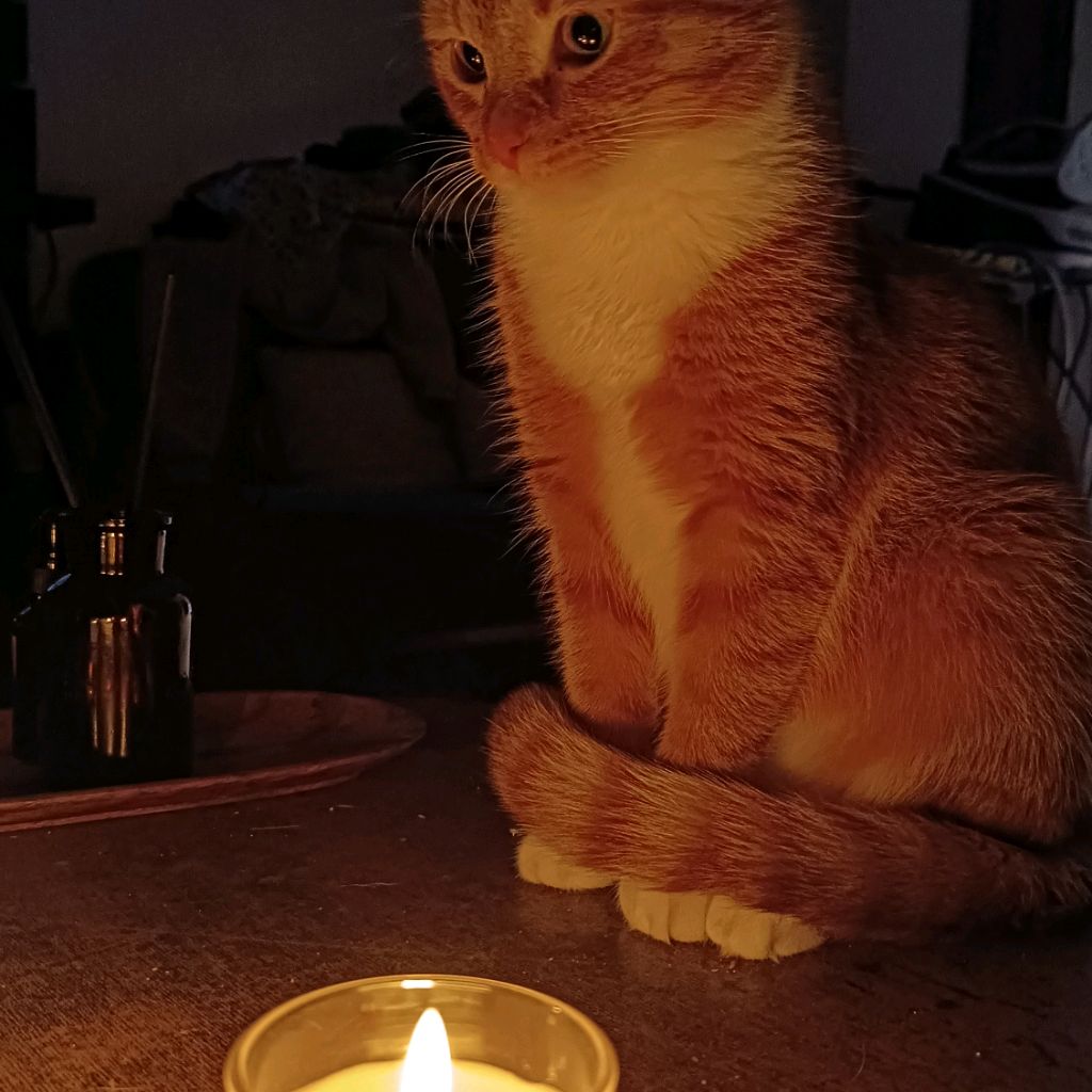 Иконка канала rutube_account_14692062