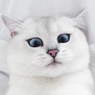 Иконка канала Mooncaty Sims4