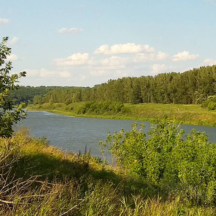 Иконка канала Лесоход