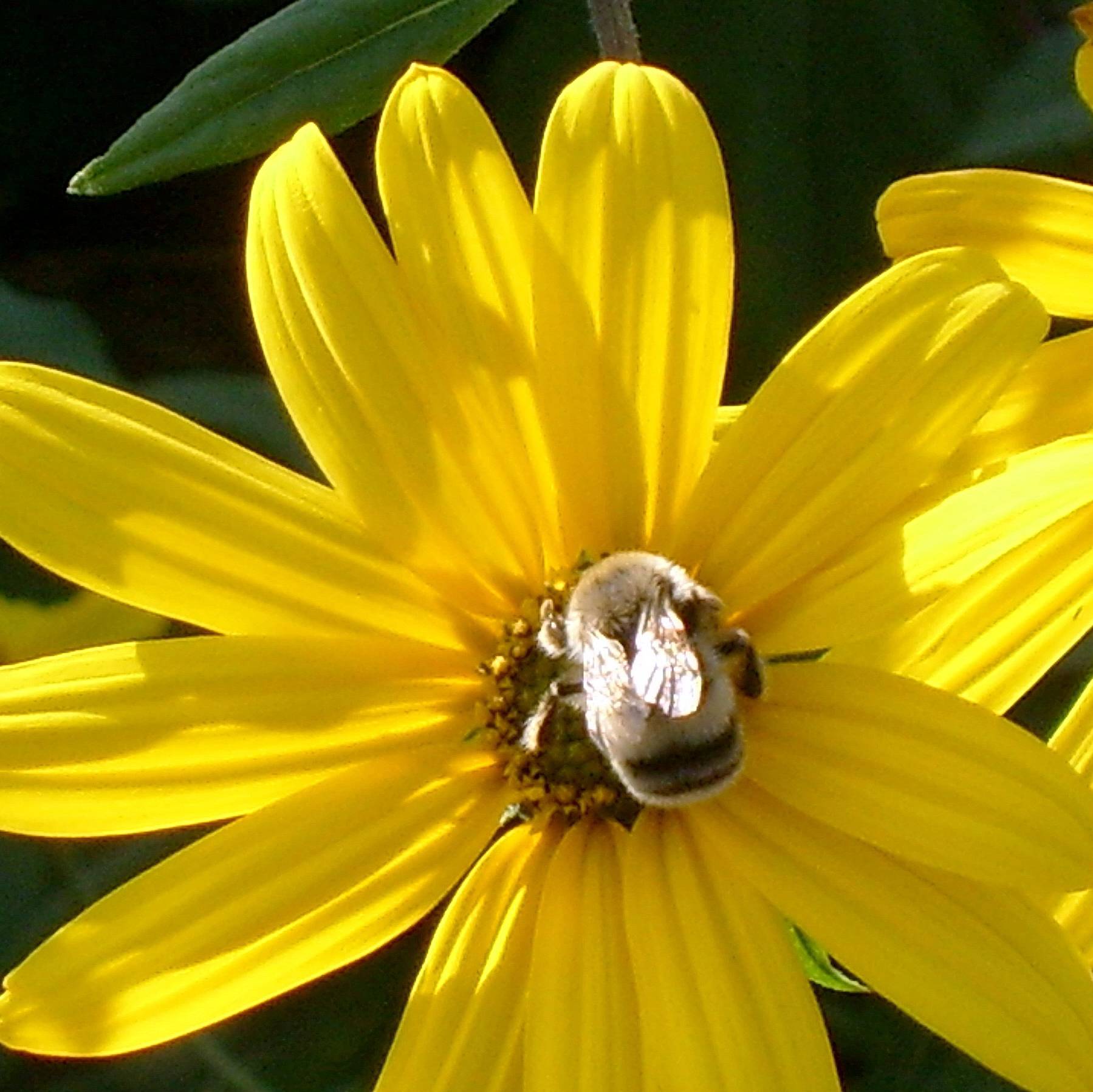 Иконка канала Житейские радости.